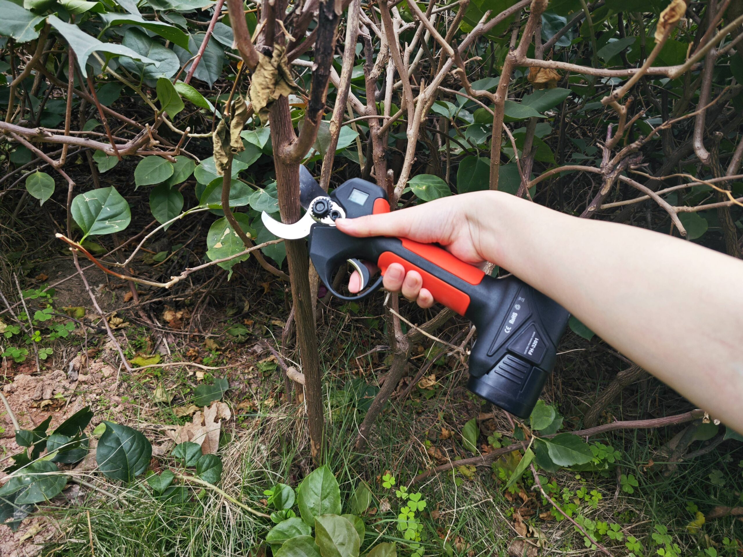 How to Use Secateurs for Perfect Pruning – Folit