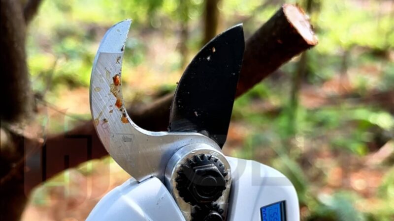 How to Clean and Maintain Your Garden Secateurs – Folit